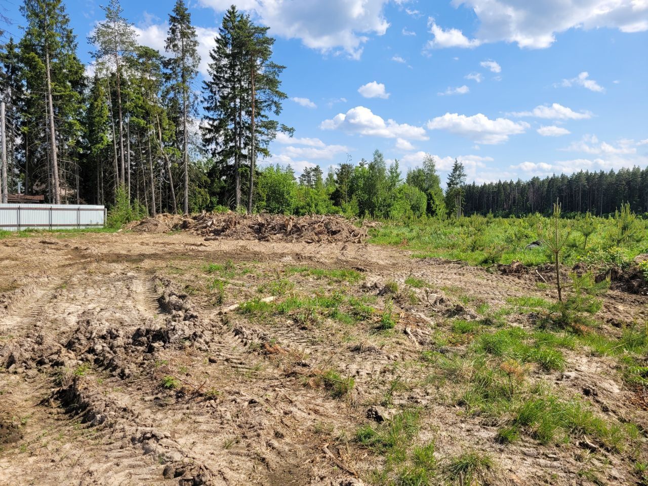 Земли сельхозназначения Московская область городской округ